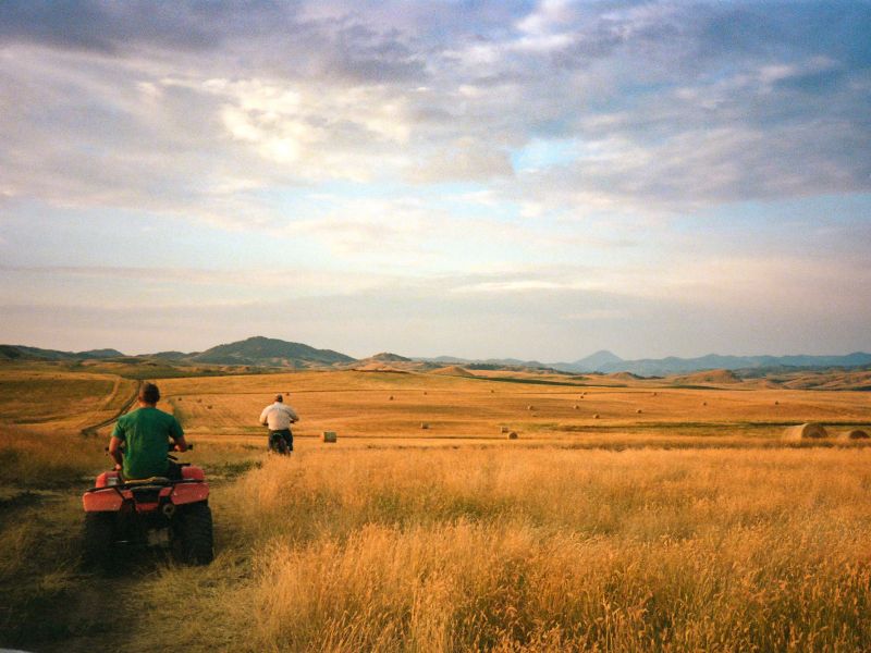 It’s All Woven Together • Mad Agriculture • Regenerative Farming