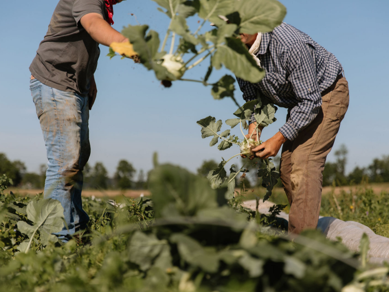 A Three-Pronged Approach to Farmer Investment • Mad Agriculture ...