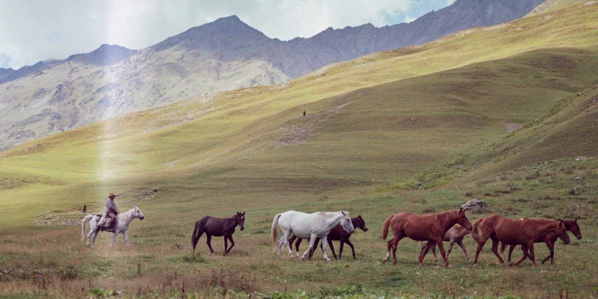 Lecciones de los pastores de Tushetia • Mad Agriculture • Regenerative ...