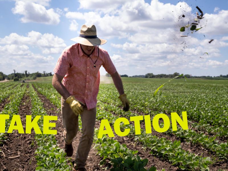 How to get involved • Mad Agriculture • Regenerative Farming