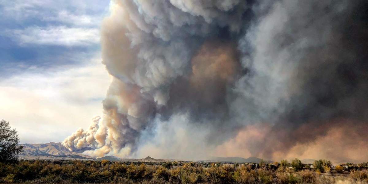 Moon Smoke • Mad Agriculture • Regenerative Farming