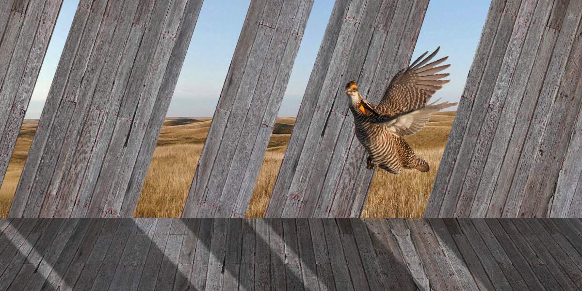 Landscape is the Future: Agriculture as Artform • Mad Agriculture ...