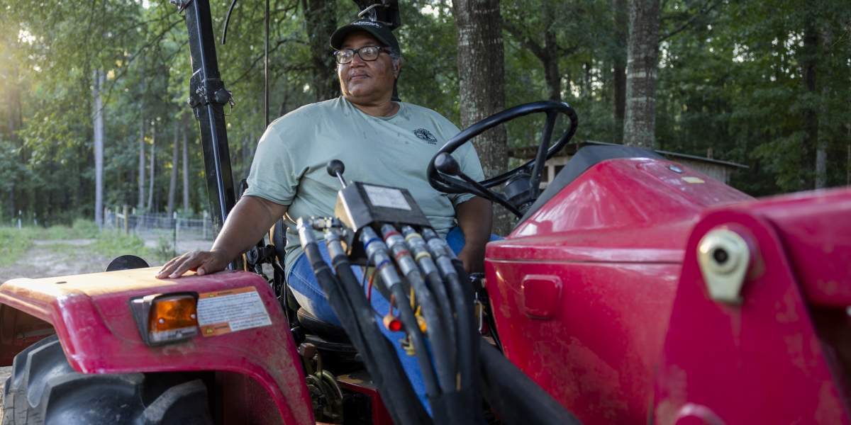 Rooted in Resilience • Mad Agriculture • Regenerative Farming