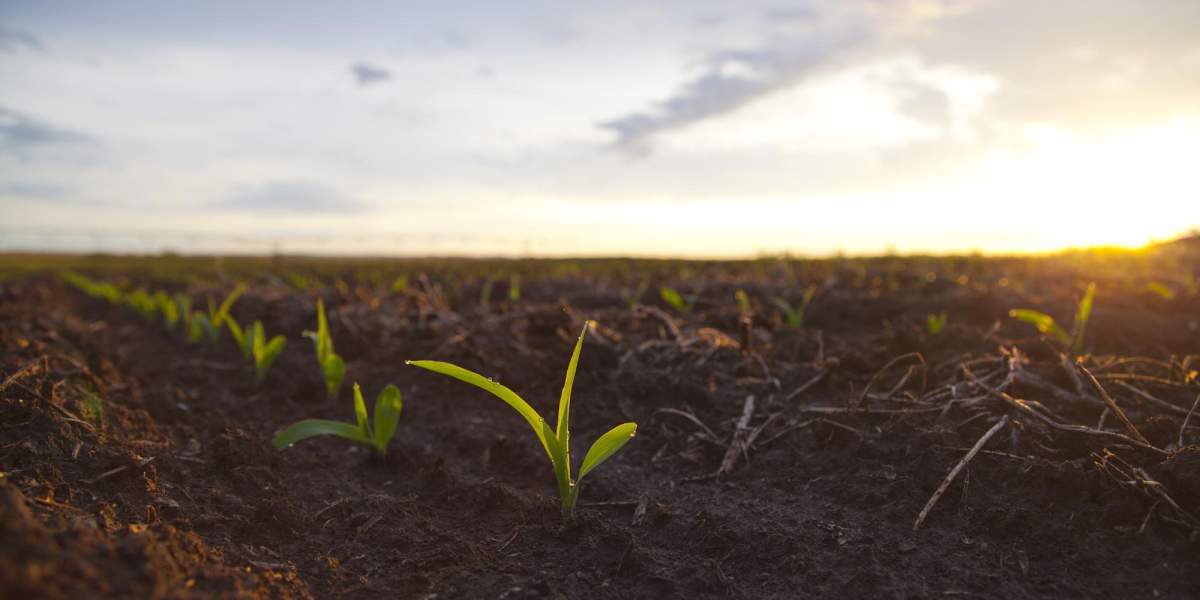 Measuring regenerative practices with true cost accounting • Mad ... Measuring regenerative practices with true cost accounting • Mad ...