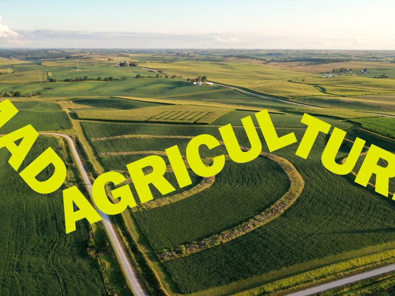 Mad Agriculture • Regenerative Farming
