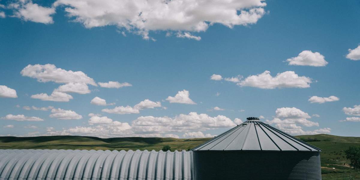 You Are More Than This Farm • Mad Agriculture • Regenerative Farming