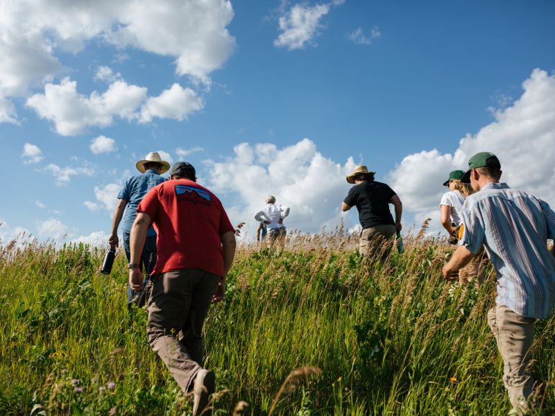 Our Story • Mad Agriculture • Regenerative Farming