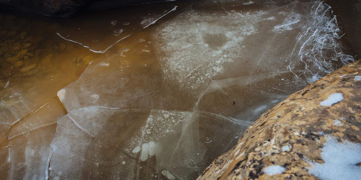 Of the Rowing Boats • Mad Agriculture • Regenerative Farming