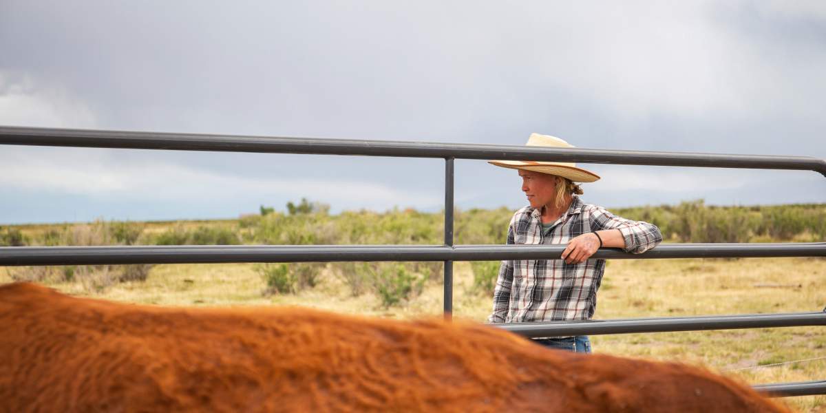 Can rangeland apprenticeships stem the exodus of Colorado ranchers and ...