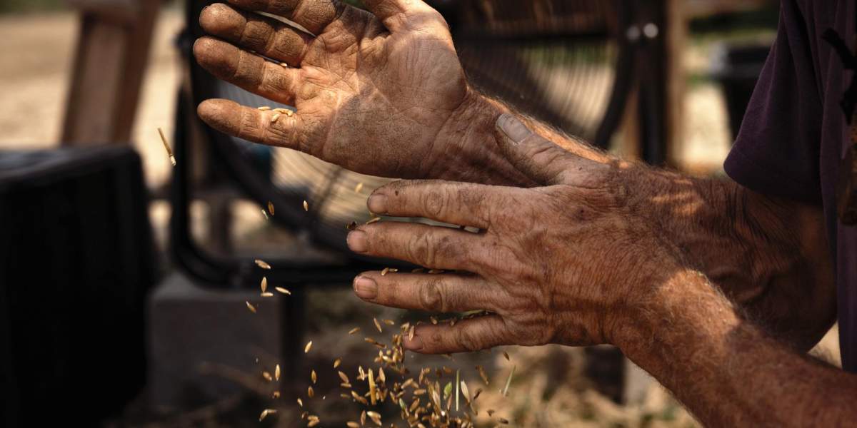 Rewilding, Remembering • Mad Agriculture • Regenerative Farming