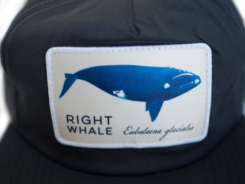 Right Whale • Mad Agriculture • Regenerative Farming