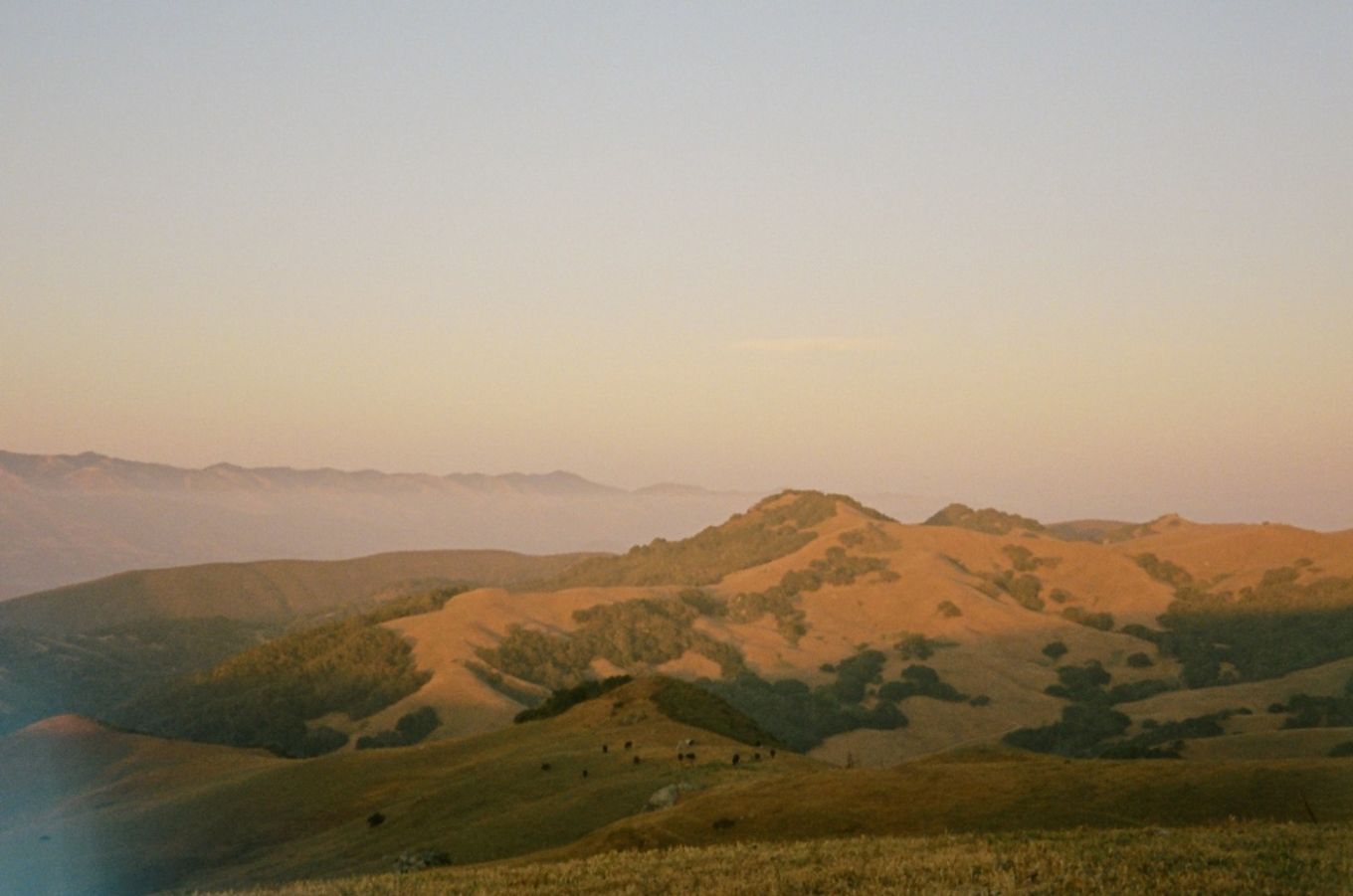 The ESG Writing on the Wall • Mad Agriculture • Regenerative Farming