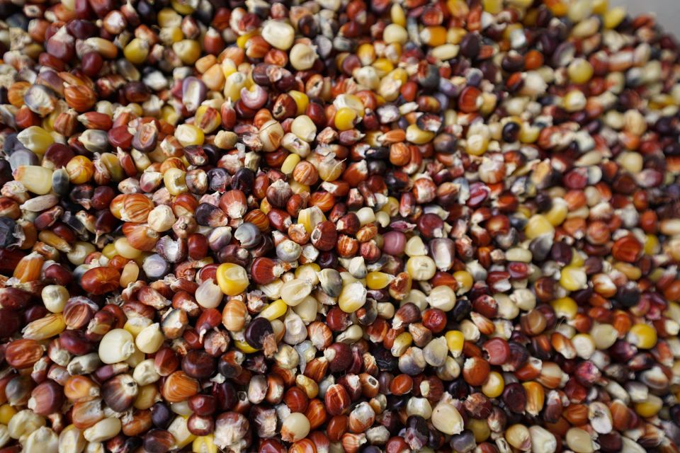 Indigenous Food Sovereignty in Northeast Nebraska • Mad Agriculture ...