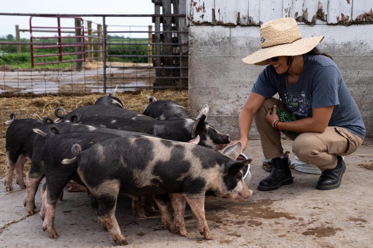 How to get involved • Mad Agriculture • Regenerative Farming