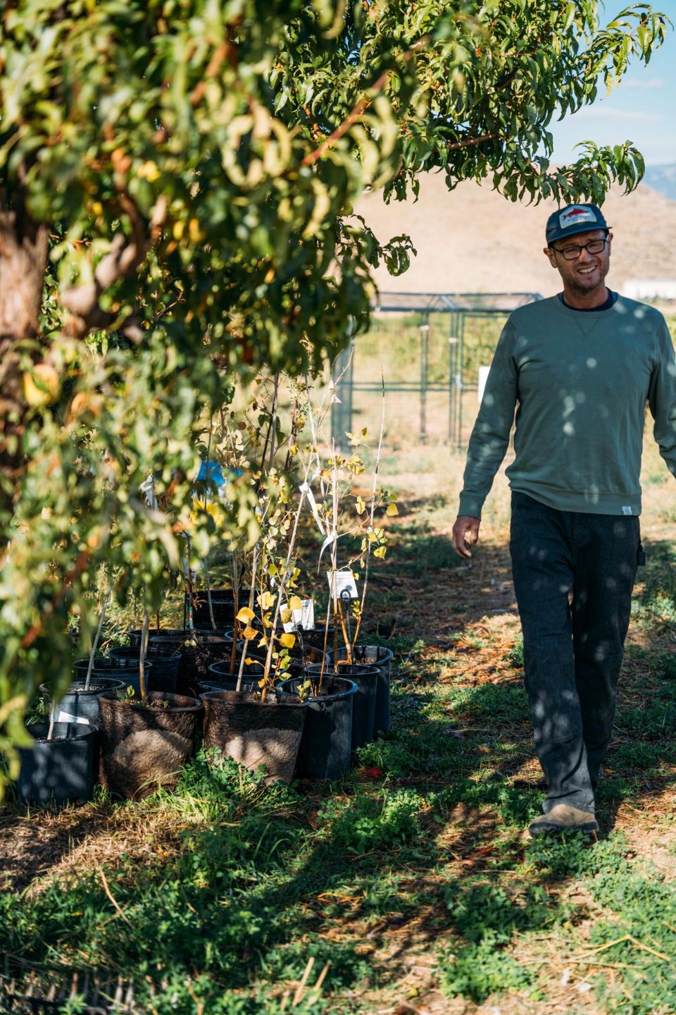 Notes from the Field: August 2024 • Mad Agriculture • Regenerative Farming