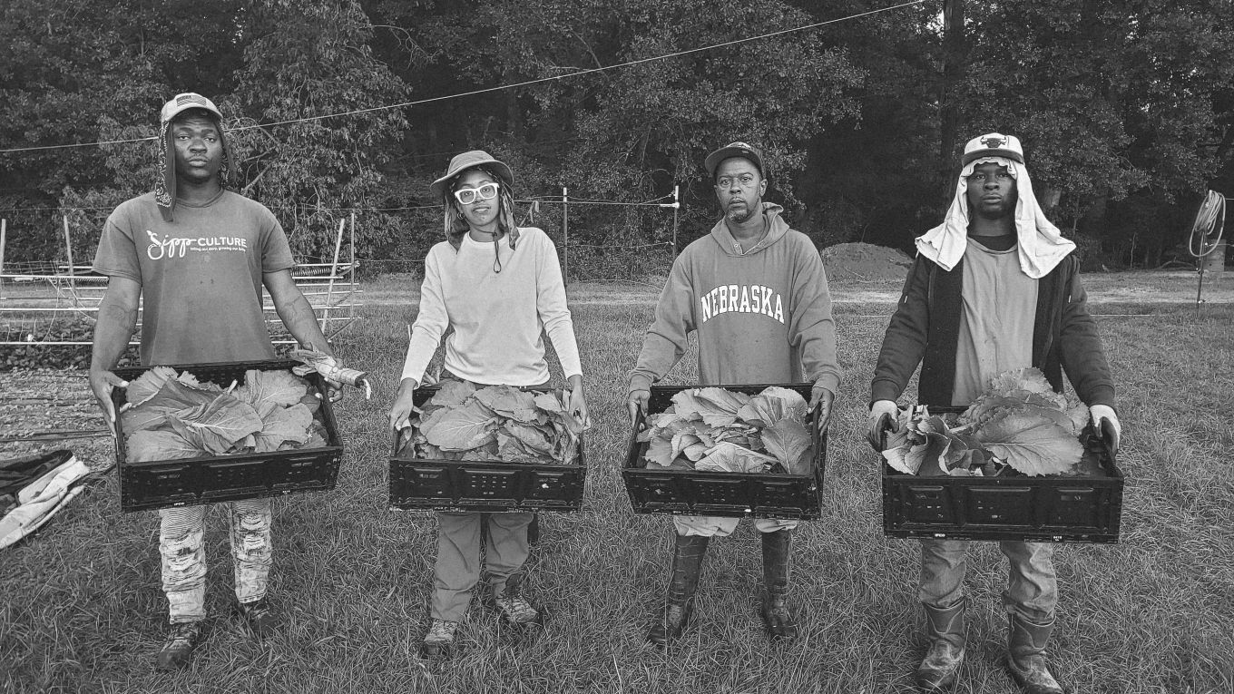The Art of Feeding a Community • Mad Agriculture • Regenerative Farming
