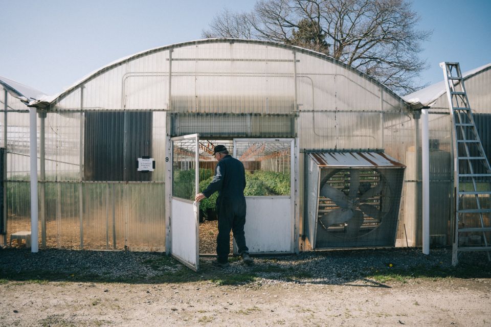 Going Against the Grain • Mad Agriculture • Regenerative Farming