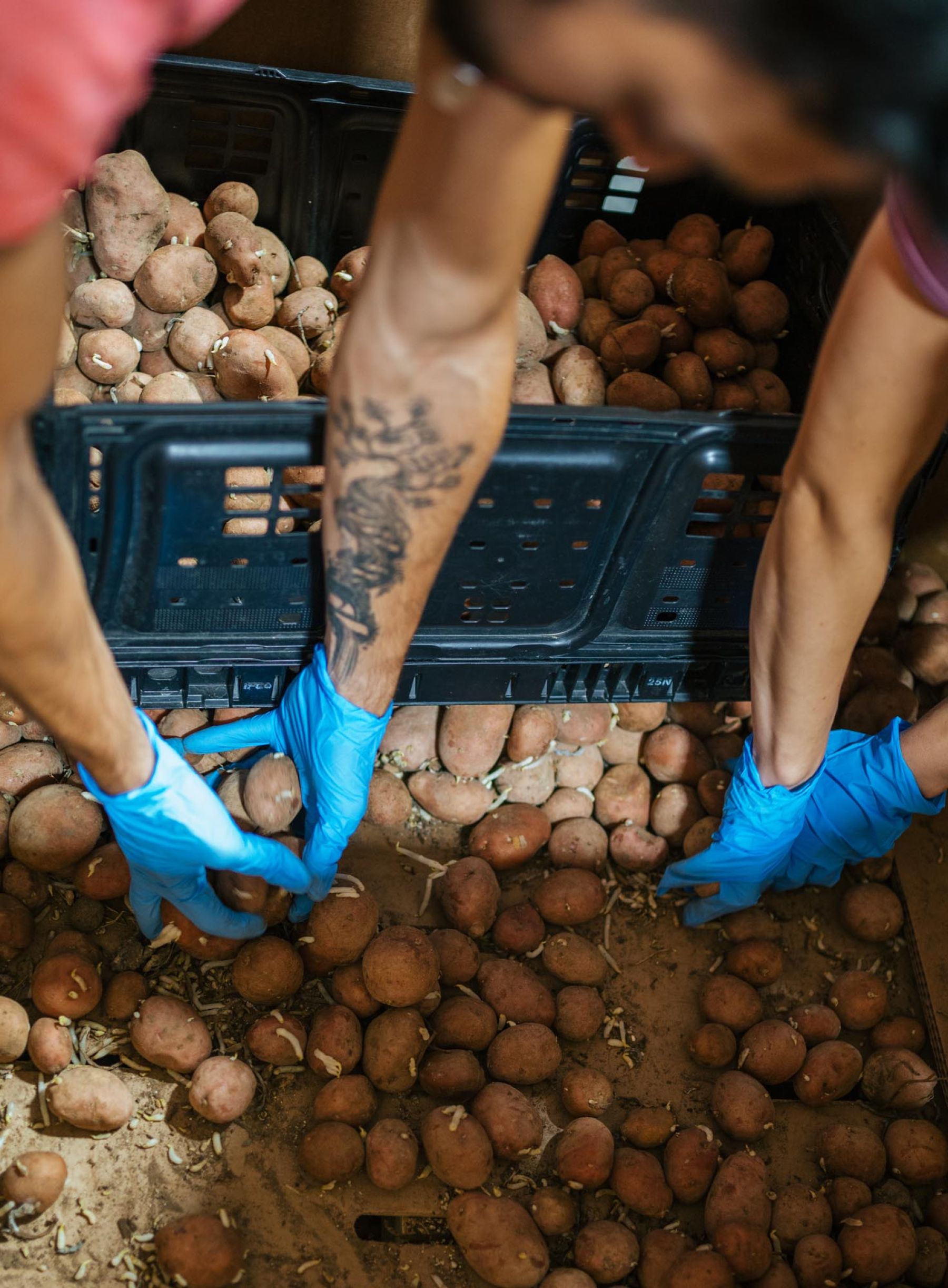 Land-based Businesses as Ecosystems • Mad Agriculture • Regenerative ...