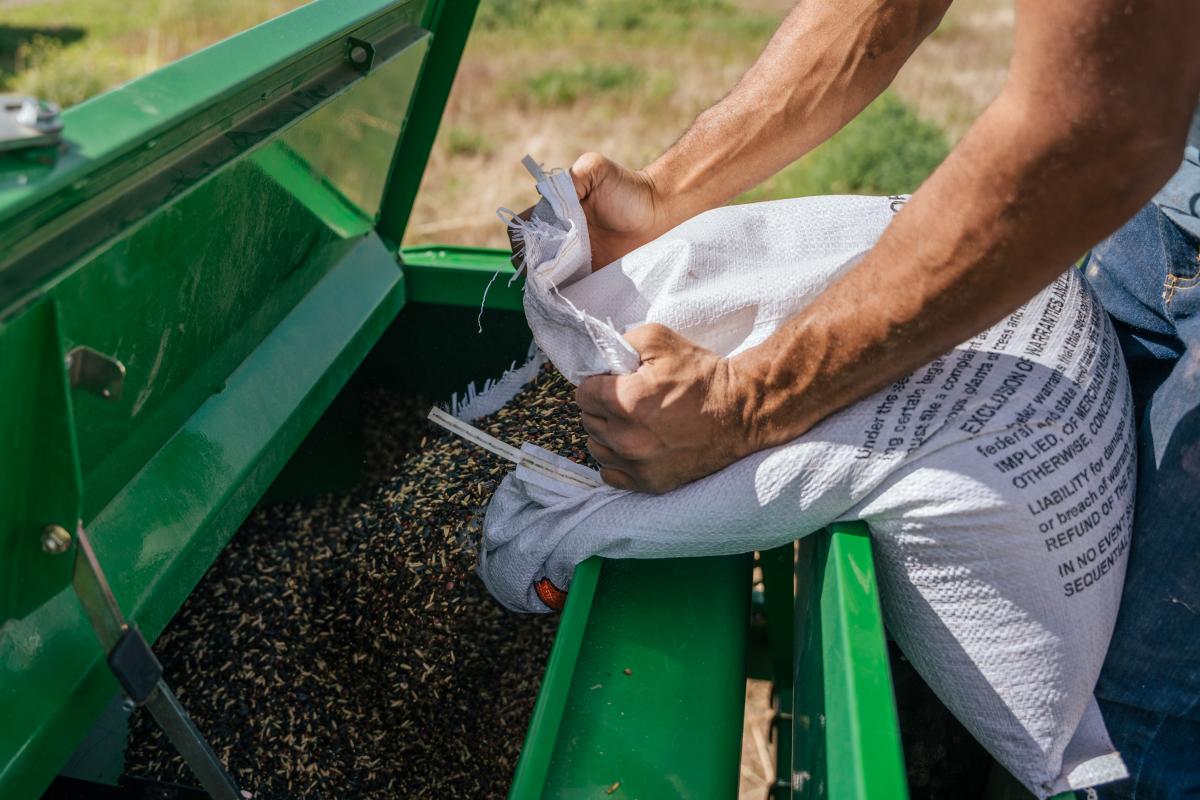 Restore Colorado • Mad Agriculture • Regenerative Farming