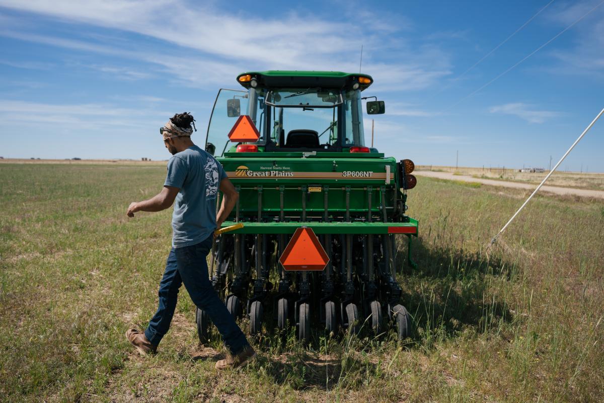 How to get involved • Mad Agriculture • Regenerative Farming