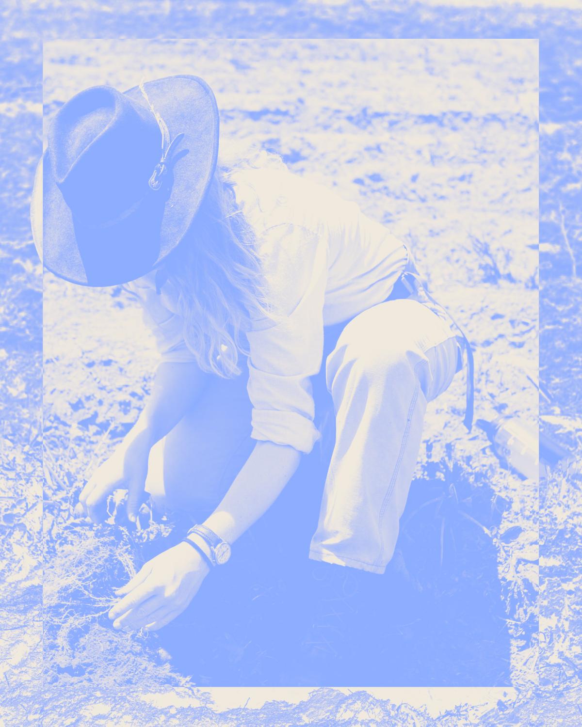 Mad Agriculture • Regenerative Farming