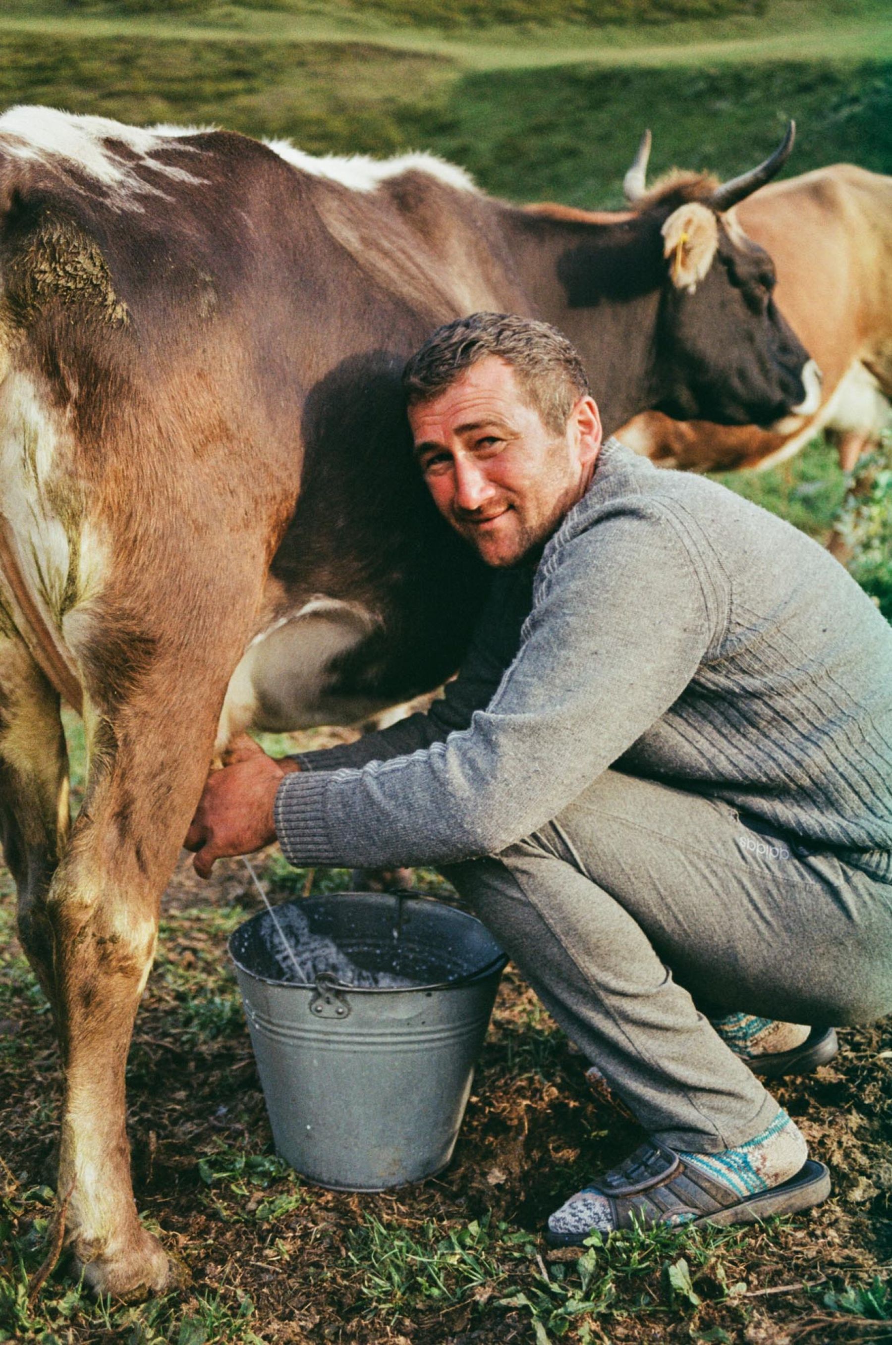 Lecciones de los pastores de Tushetia • Mad Agriculture • Regenerative ...