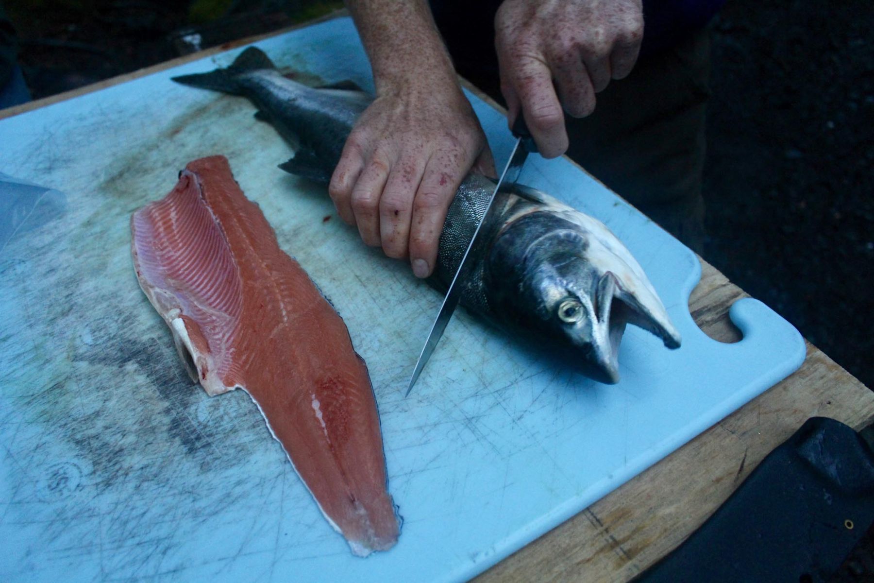 Learning to Fish on Alaska’s Kenai River • Mad Agriculture ...