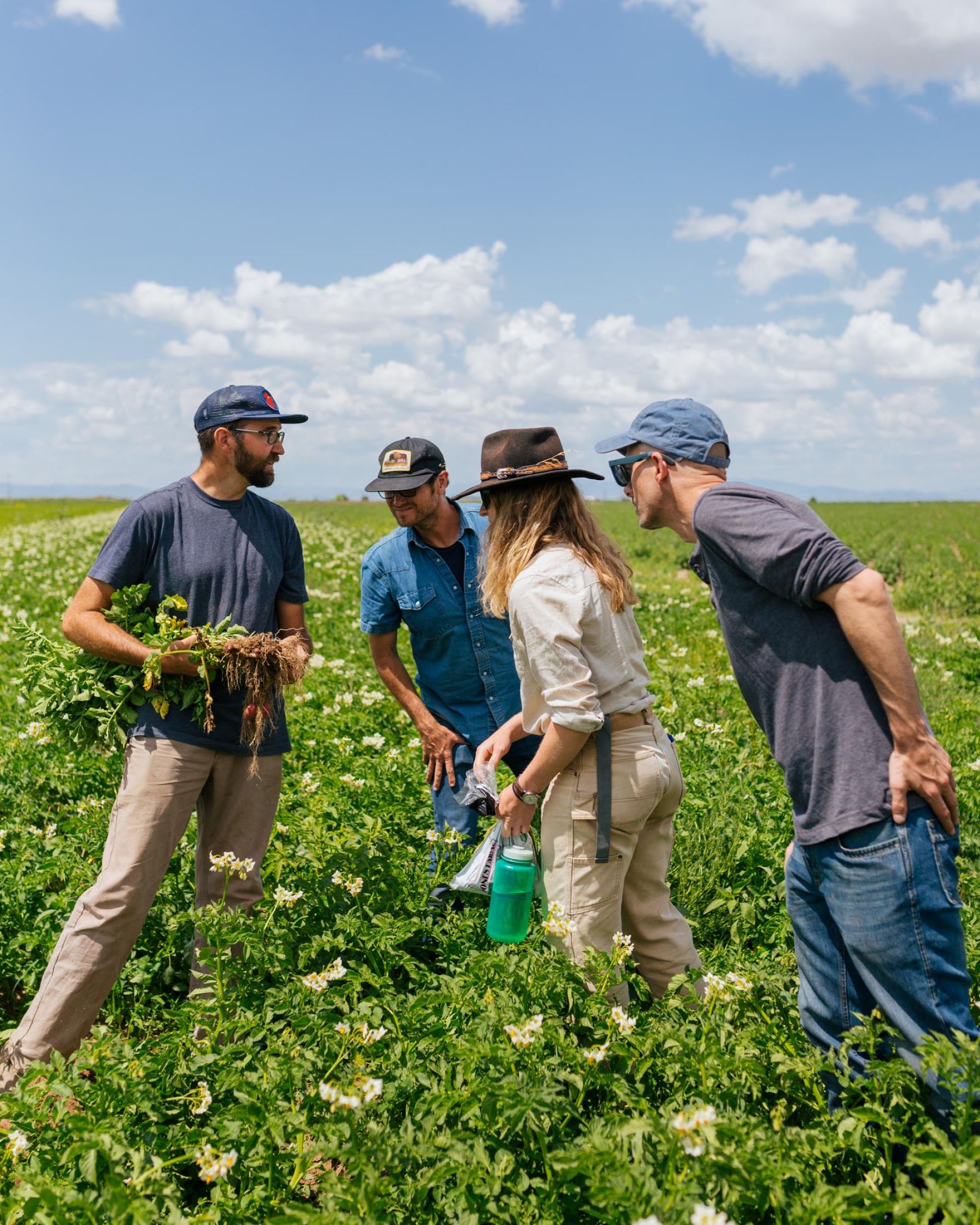 Celebrating Potato Diversity in the San Luis Valley • Mad Agriculture ...
