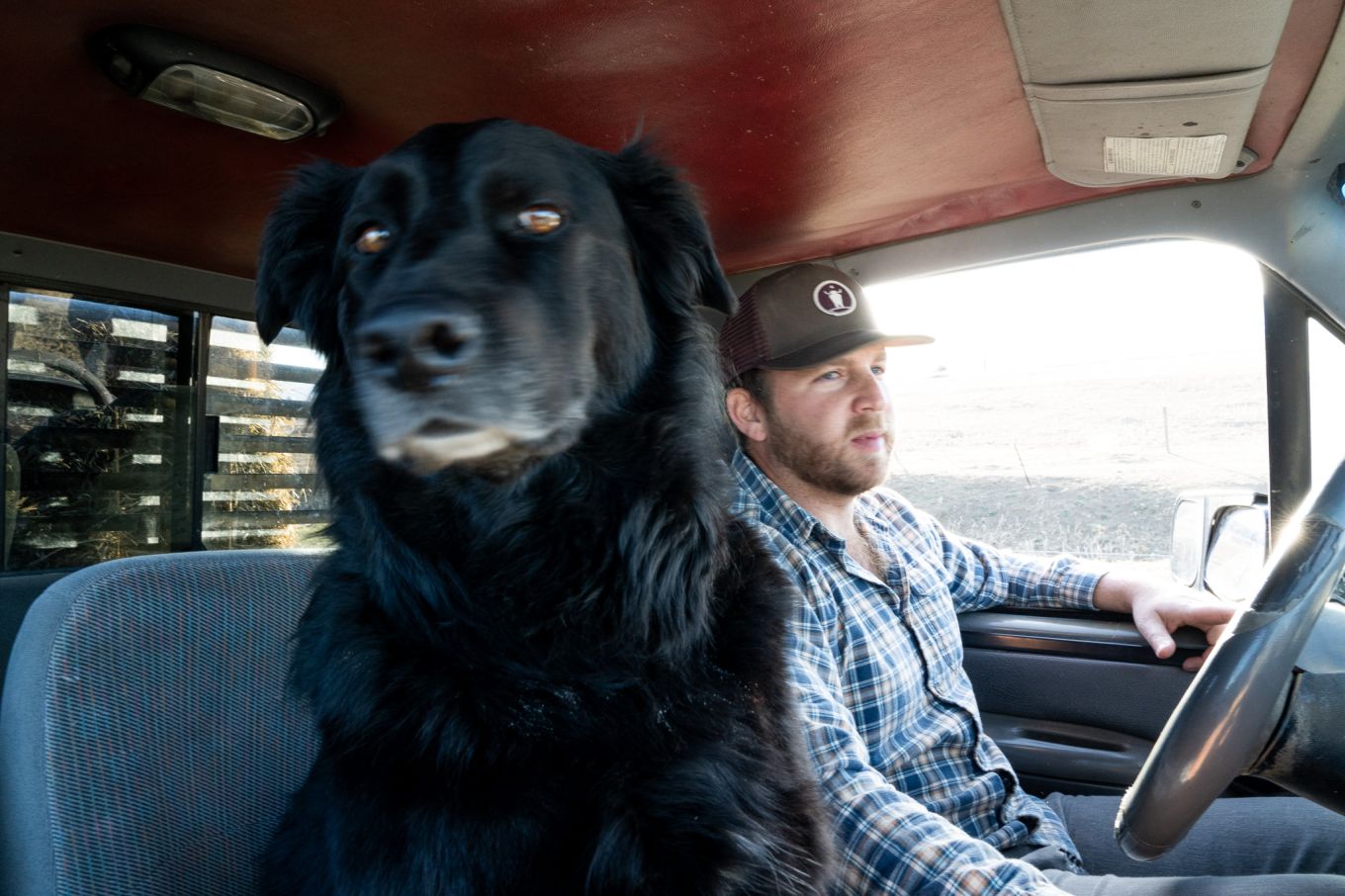 Grazing in an Art Form • Mad Agriculture • Regenerative Farming