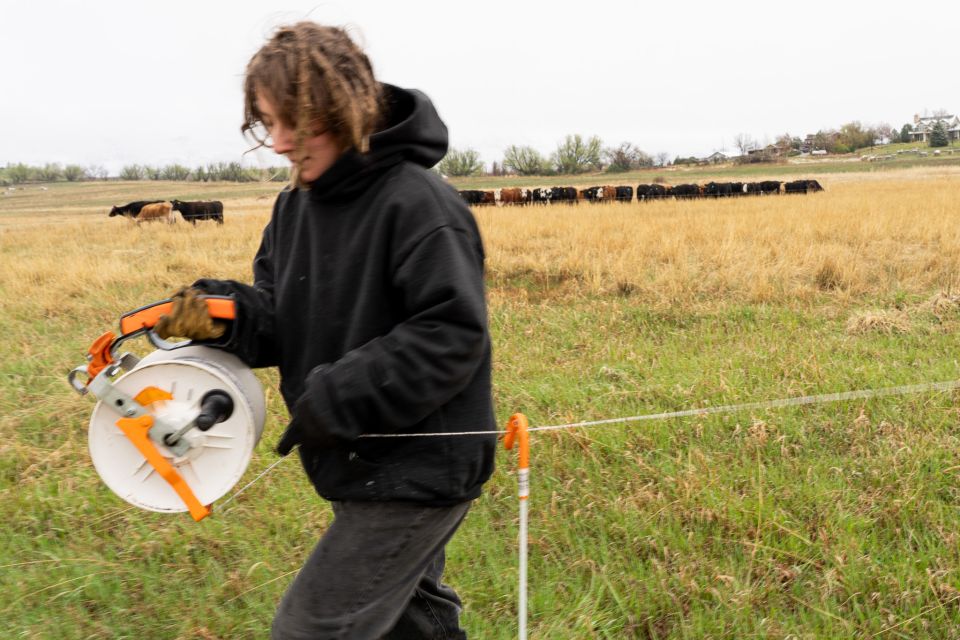 Grazing in an Art Form • Mad Agriculture • Regenerative Farming