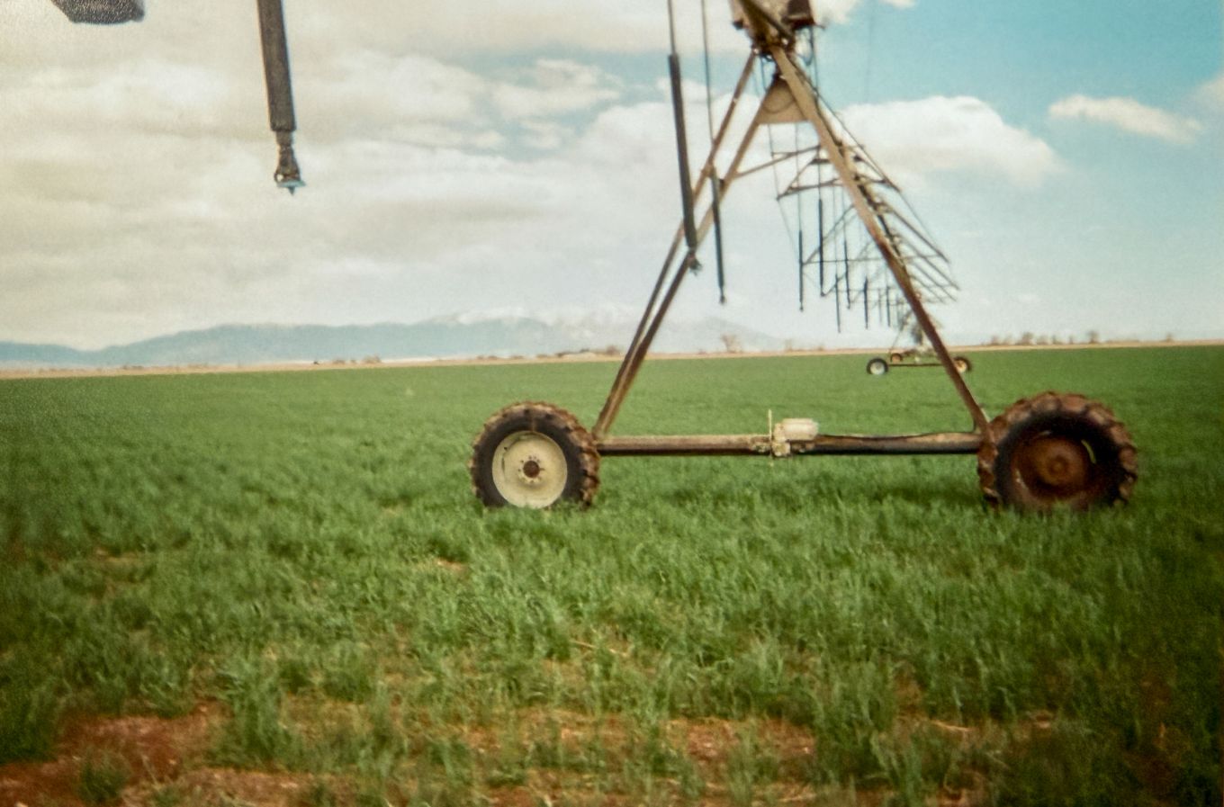 Life is Always Better on a Farm • Mad Agriculture • Regenerative Farming