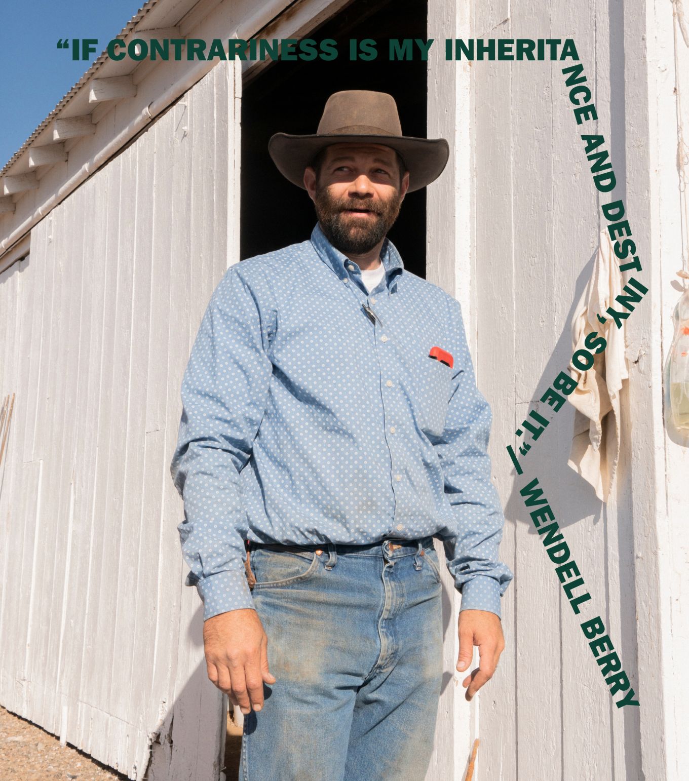 Mad Agriculture • Regenerative Farming