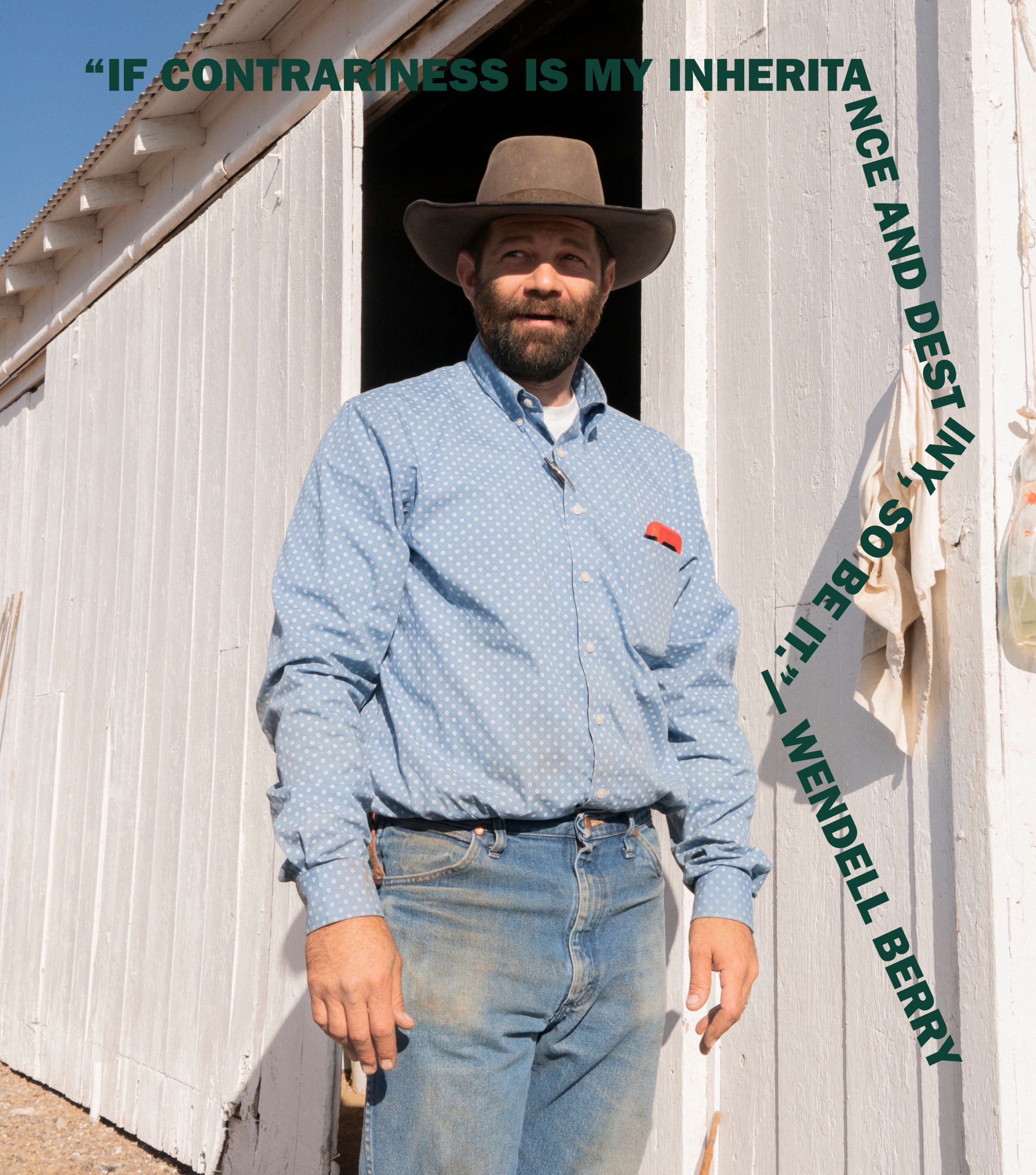 Mad Agriculture • Regenerative Farming