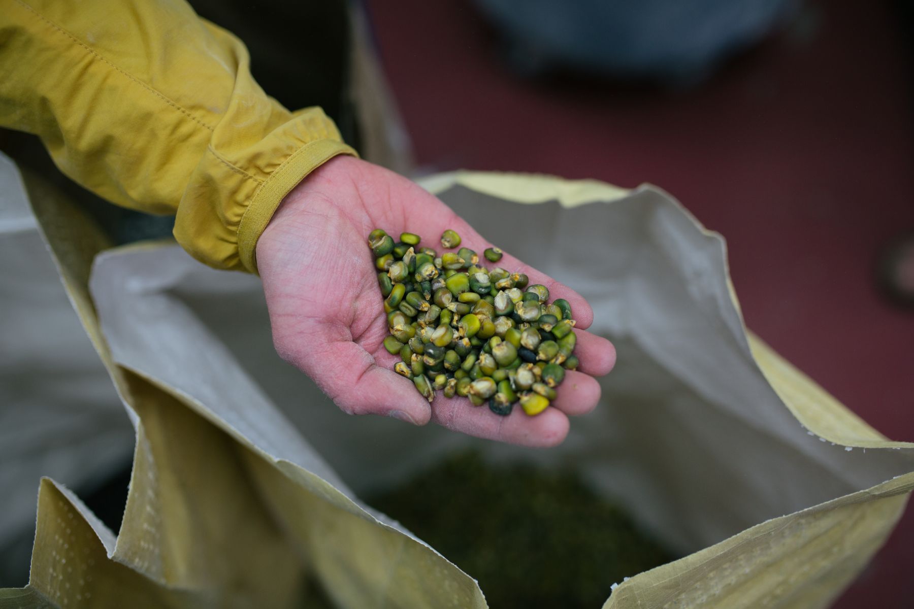 Gone to Seed • Mad Agriculture • Regenerative Farming