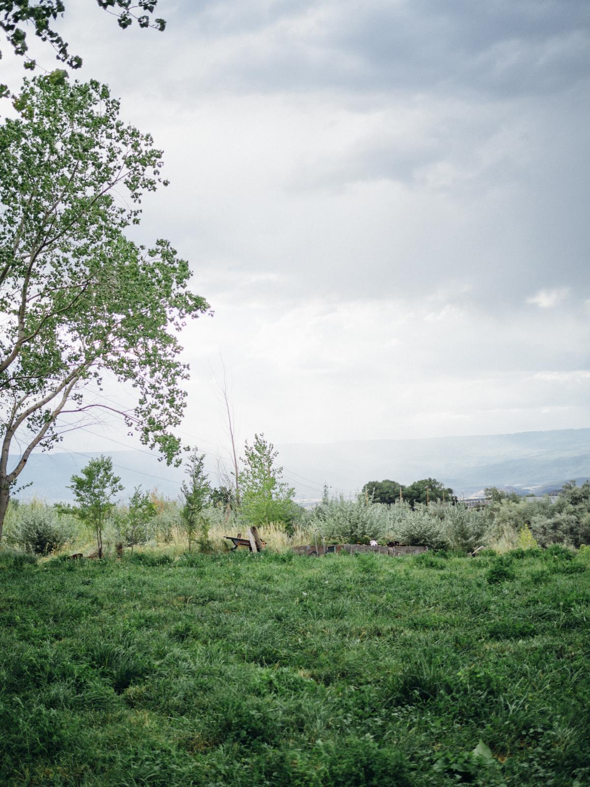 Haiku Poems from the Farm Season • Mad Agriculture • Regenerative Farming