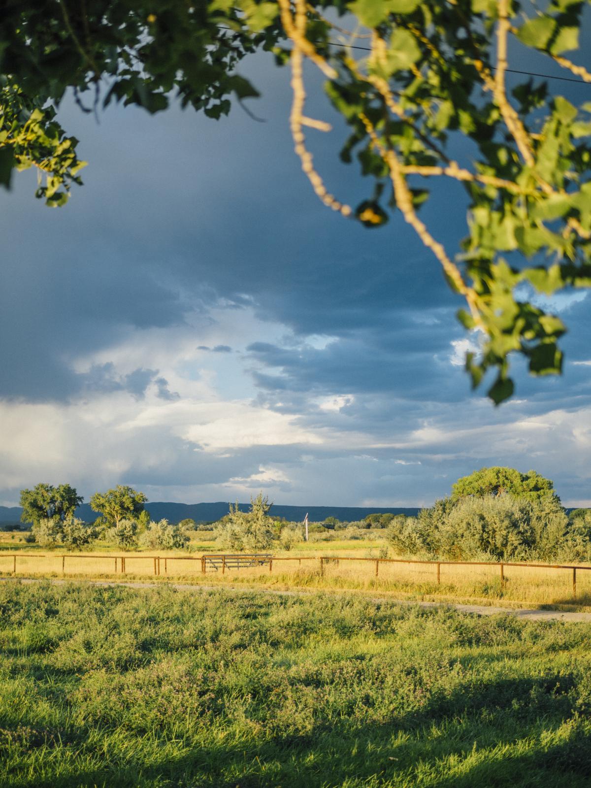 Haiku Poems from the Farm Season • Mad Agriculture • Regenerative Farming