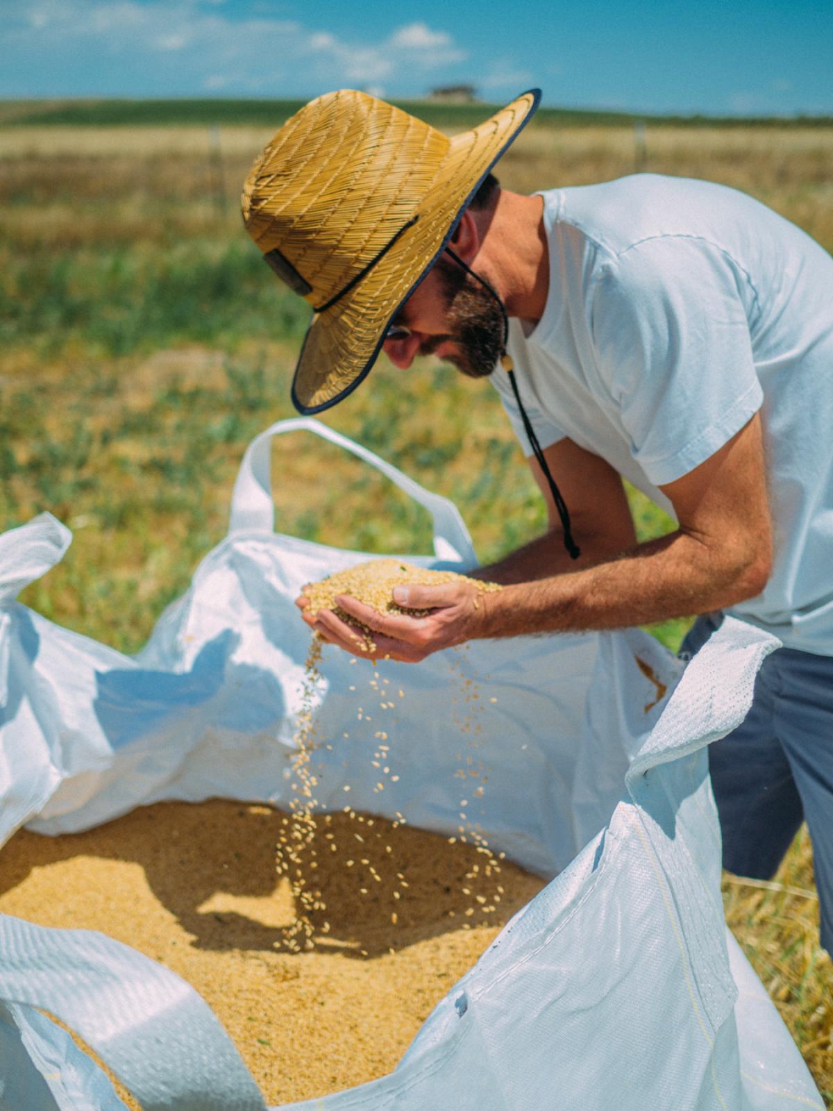 Featured Farmers • Mad Agriculture • Regenerative Farming