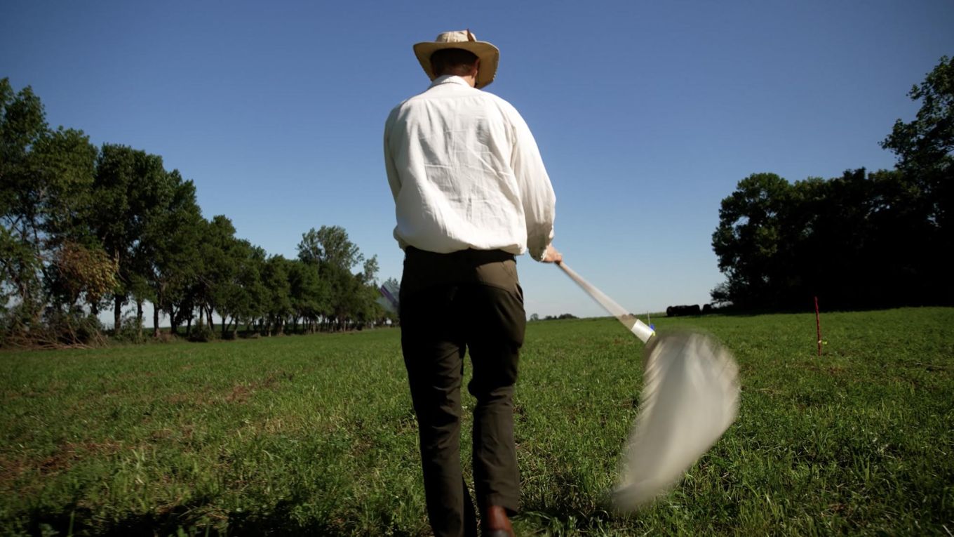 Meet a Mad Farmer: A-Frame Farm • Mad Agriculture • Regenerative Farming