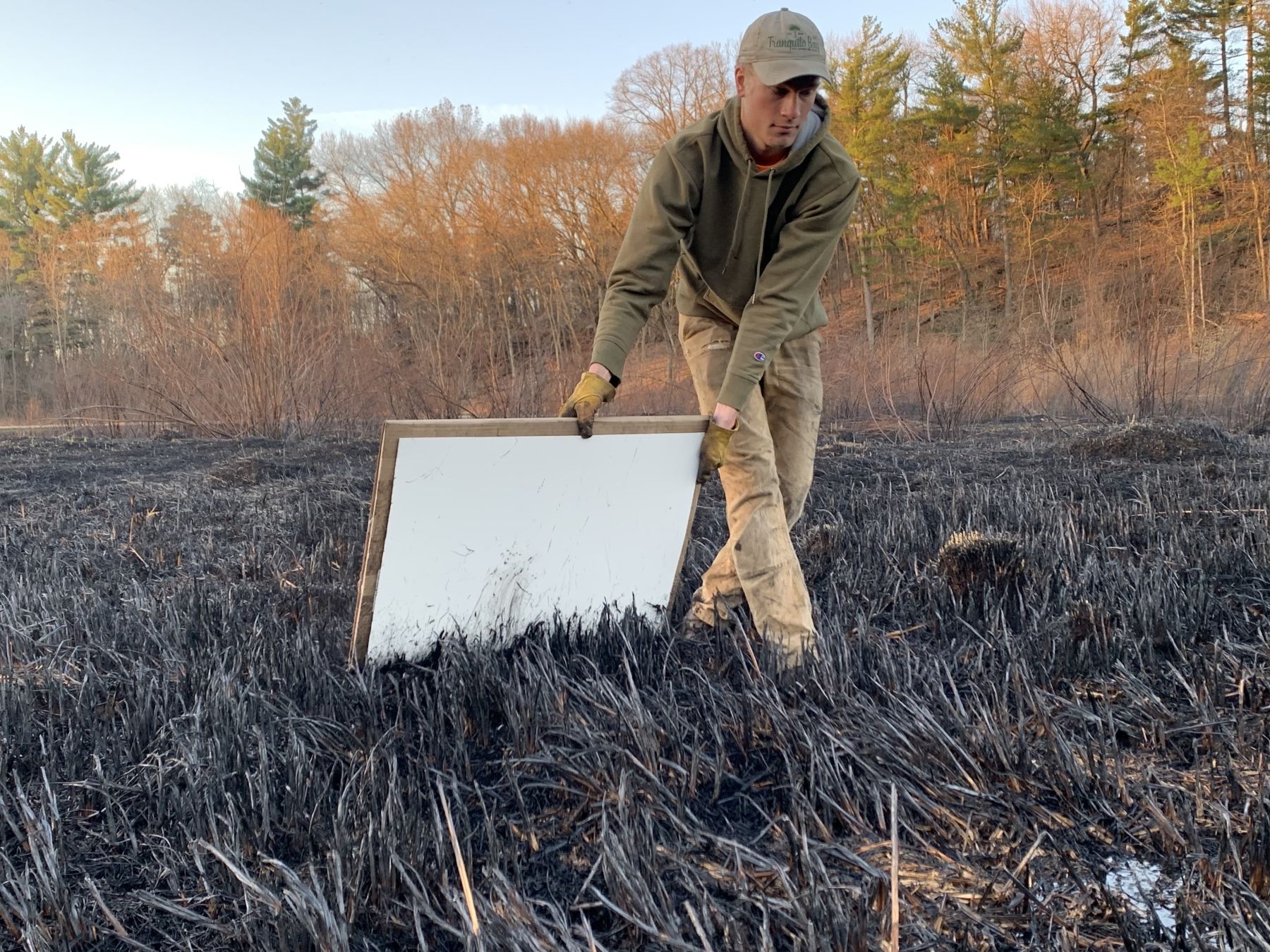 Rx Return: Inside the Artist's Process • Mad Agriculture • Regenerative ...