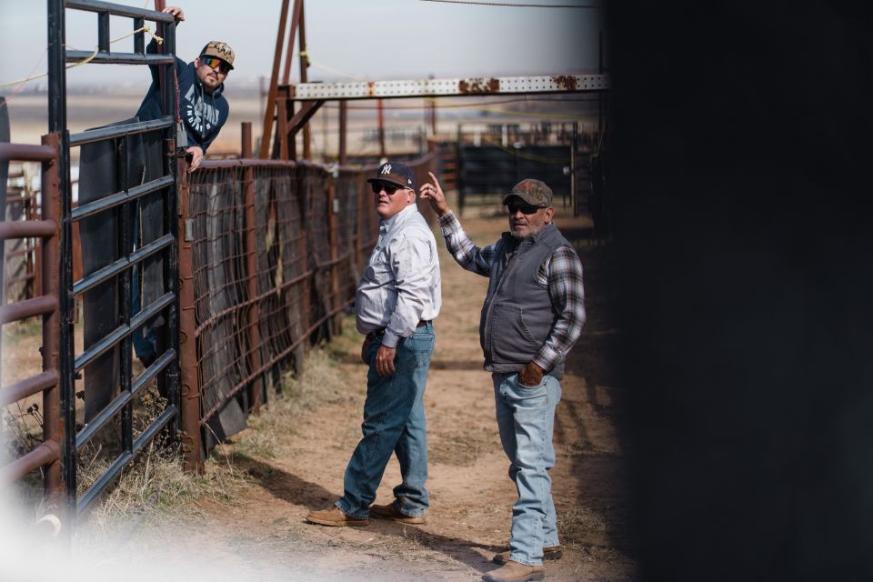 The Cheyenne and Arapaho Bison Project • Mad Agriculture • Regenerative ...